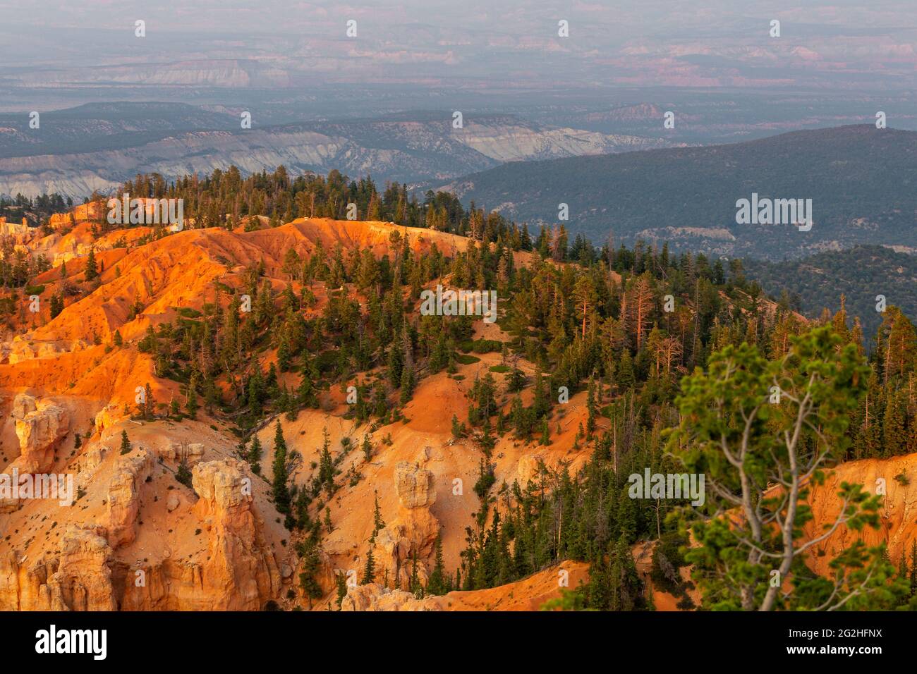 Rainbow Point - a National park peak with red & pink cliffs & rock ...