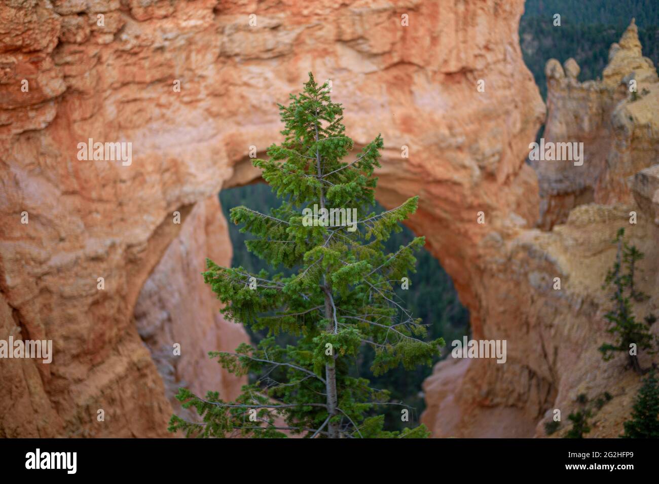 Red sedimentary rock hi-res stock photography and images - Alamy
