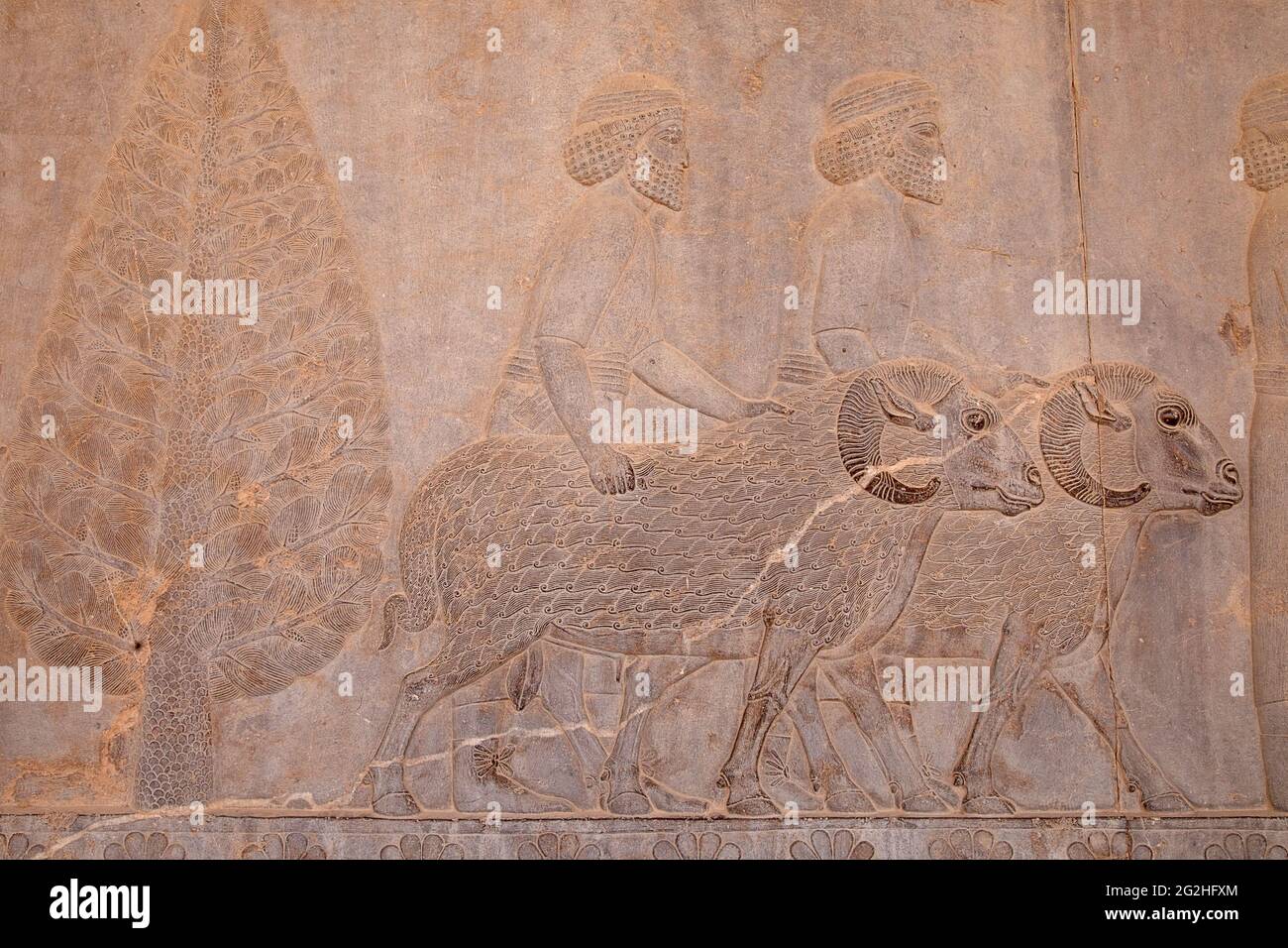 Persepolis, Apadana staircase facade, ancient relief of the Achaemenids ...