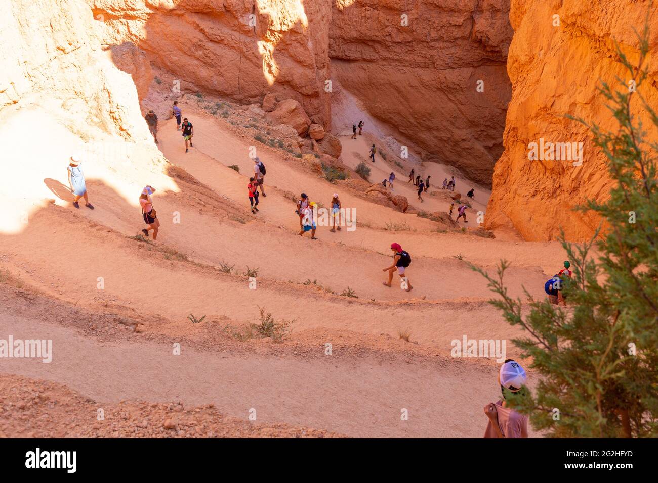 Hiking on Navajo Loop Trail in Bryce Canyon National Park, Utah, USA ...