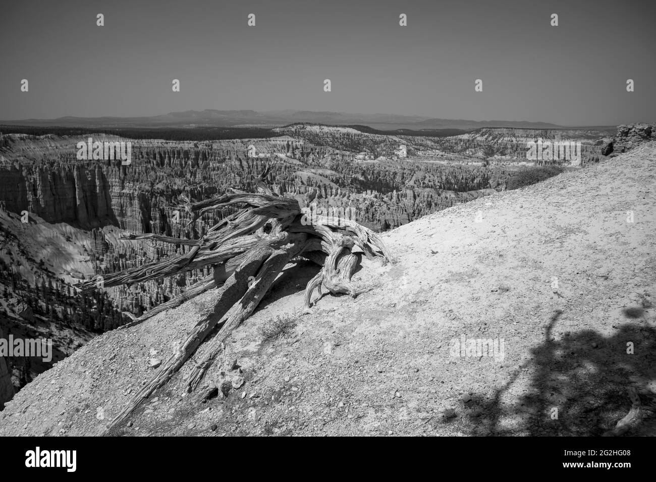 Bryce Point - a vista point overlooking the Bryce Canyon amphitheater ...