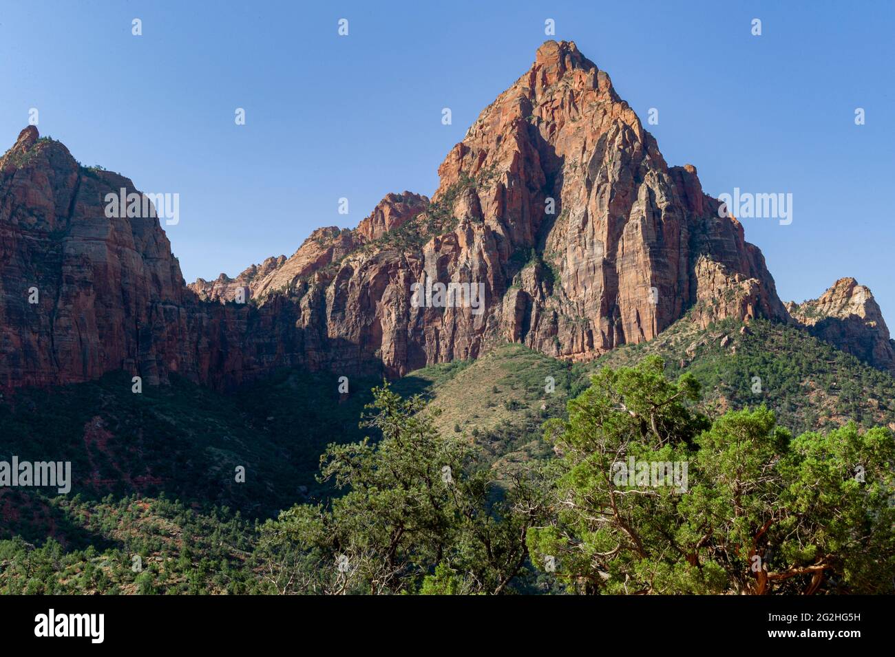 Watchman Trail, Zion National Park, Utah, USA Watchman Trail Stock ...