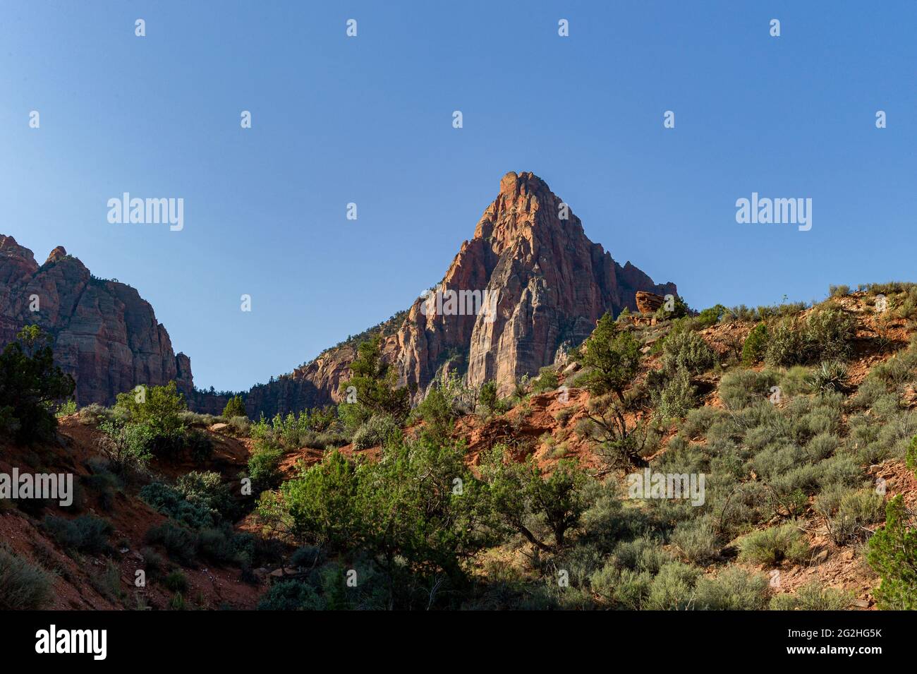 Watchman Trail, Zion National Park, Utah, USA Watchman Trail Stock ...