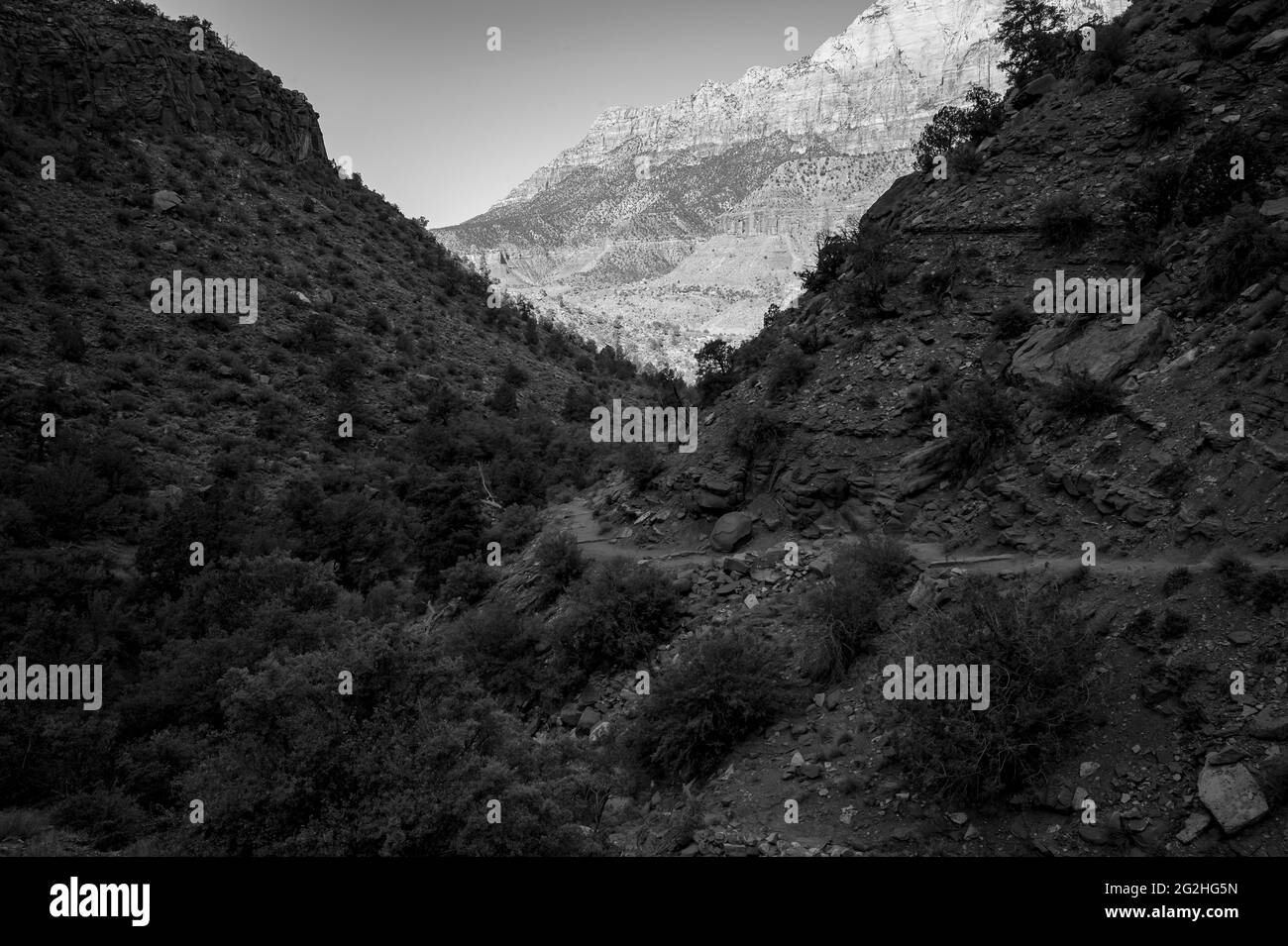 Watchman Trail, Zion National Park, Utah, USA Watchman Trail Stock ...