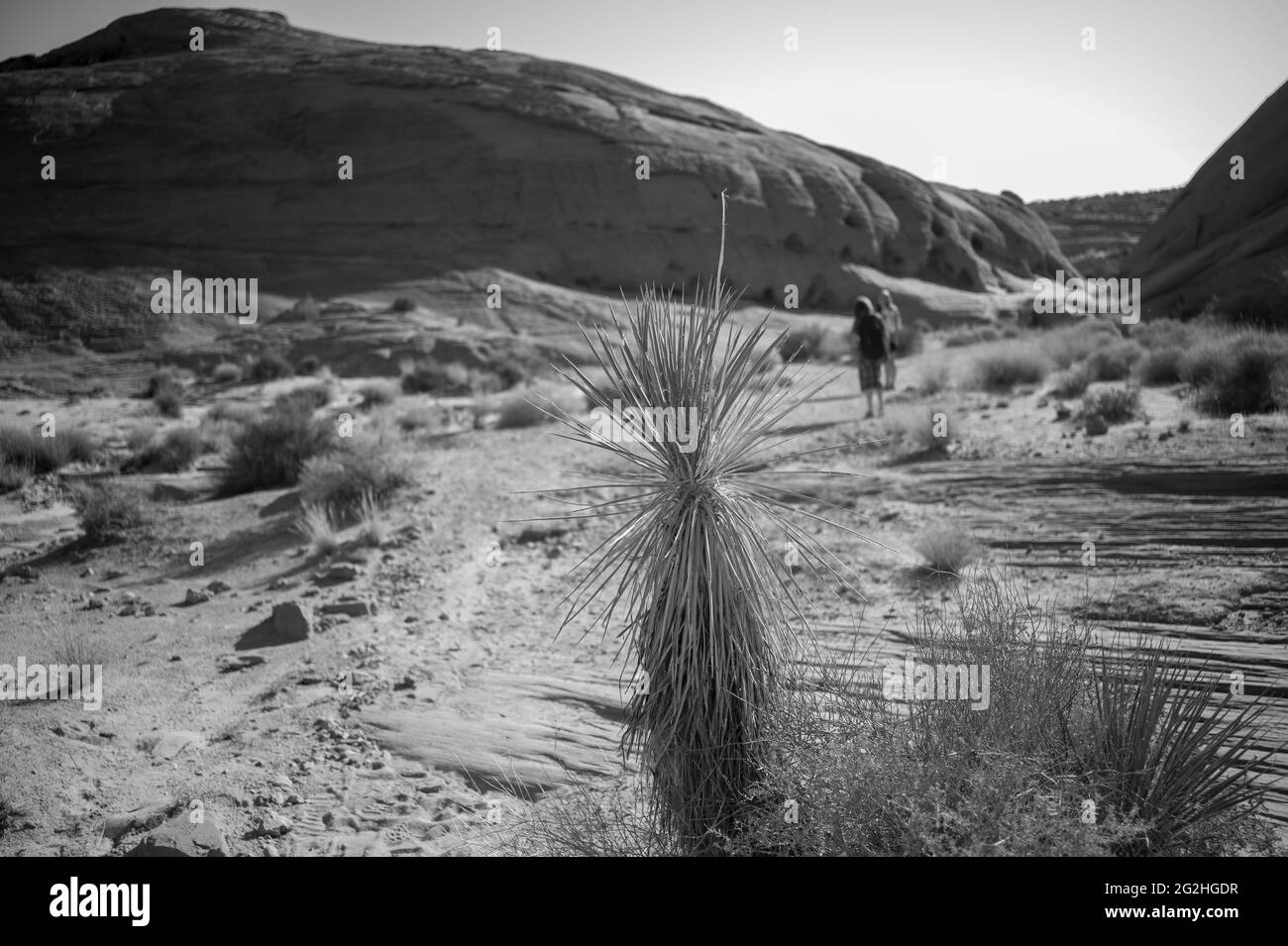 Rocky fire Black and White Stock Photos & Images - Alamy