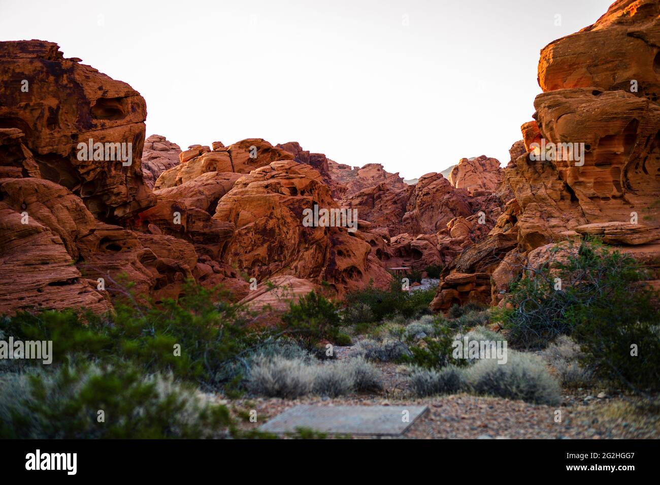 Beautiful colorful scenery with red rocks illuminated by the morning ...
