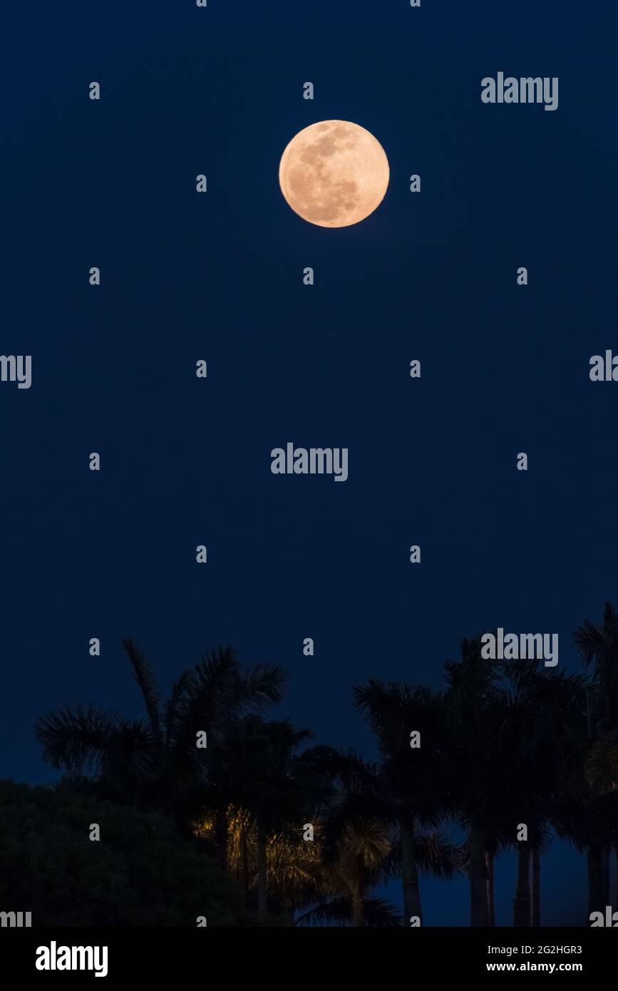 Usa 2021 hi-res stock photography and images - Alamy