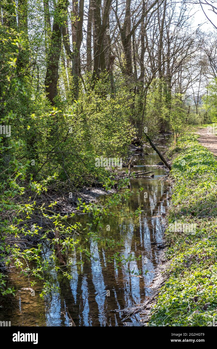 Pathway along a stream hi-res stock photography and images - Alamy