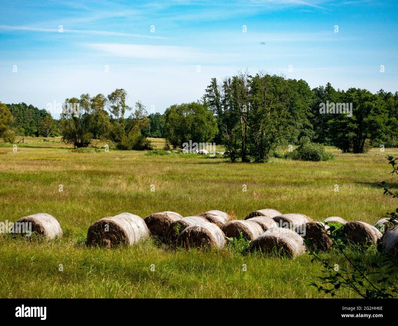 Landscape, meadows, hay bales, Innerer Spreewald, Biosphere Reserve ...