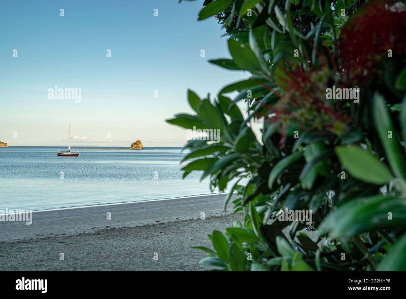 Sandy beach in mahurangi regional park hi-res stock photography and ...