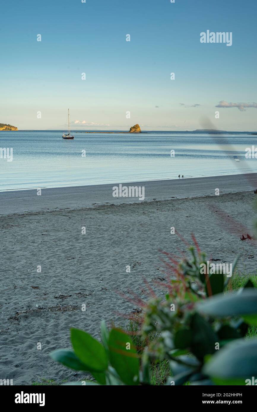 Sandy beach in mahurangi regional park hi-res stock photography and ...