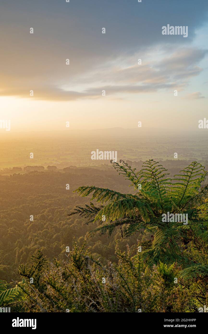 View of Kaimai-Mamaku Forest Park and Great Plain, Waikato District ...