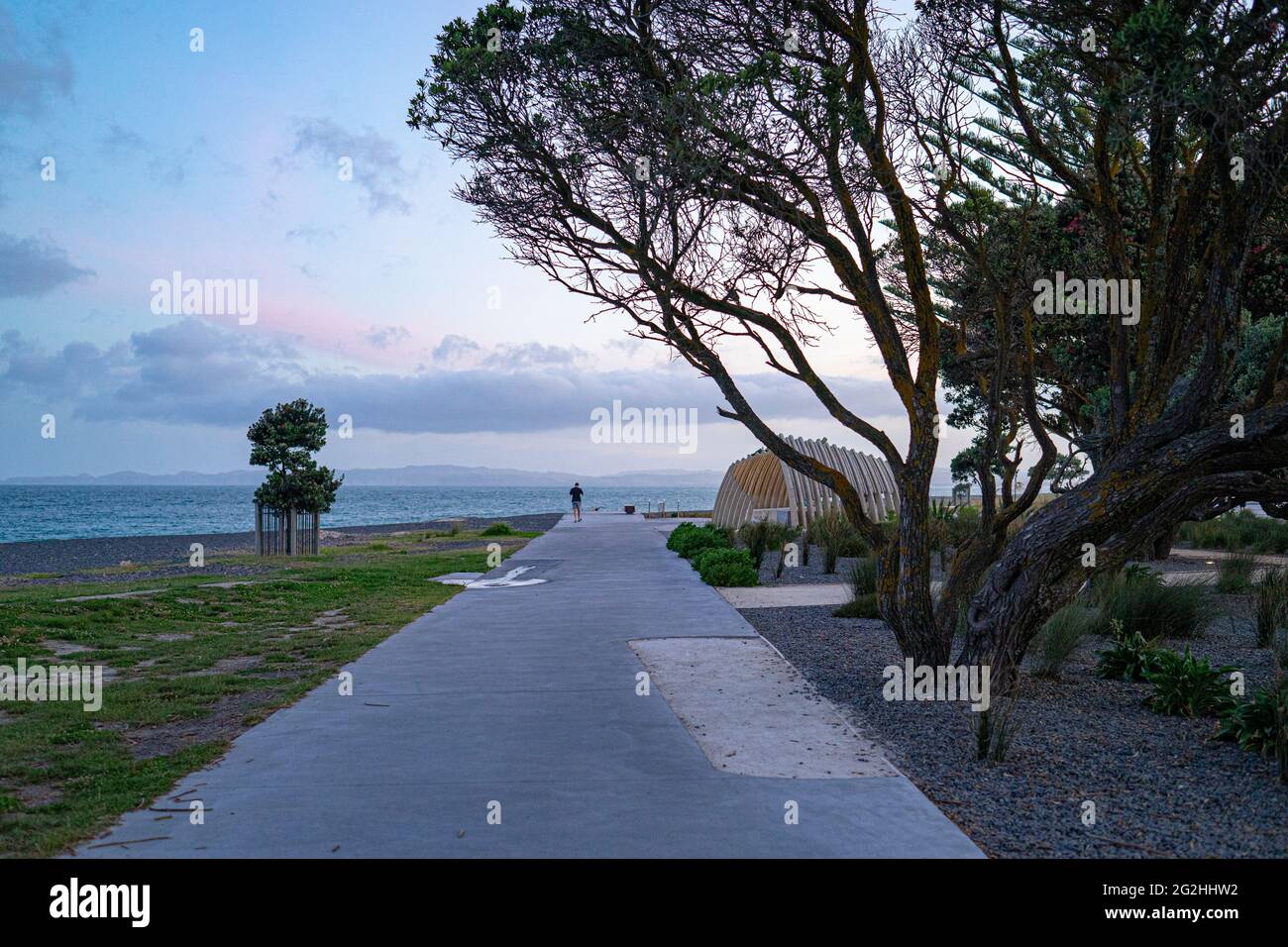 Marine parade napier new zealand hi-res stock photography and images ...