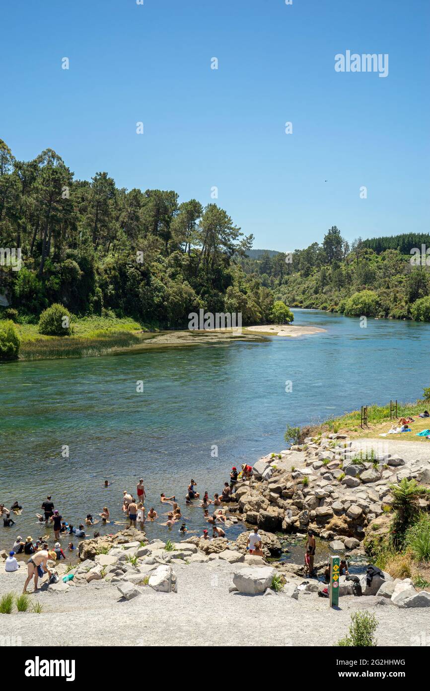 Hot springs on the Waikato River near Taupo, Taupo District, North ...