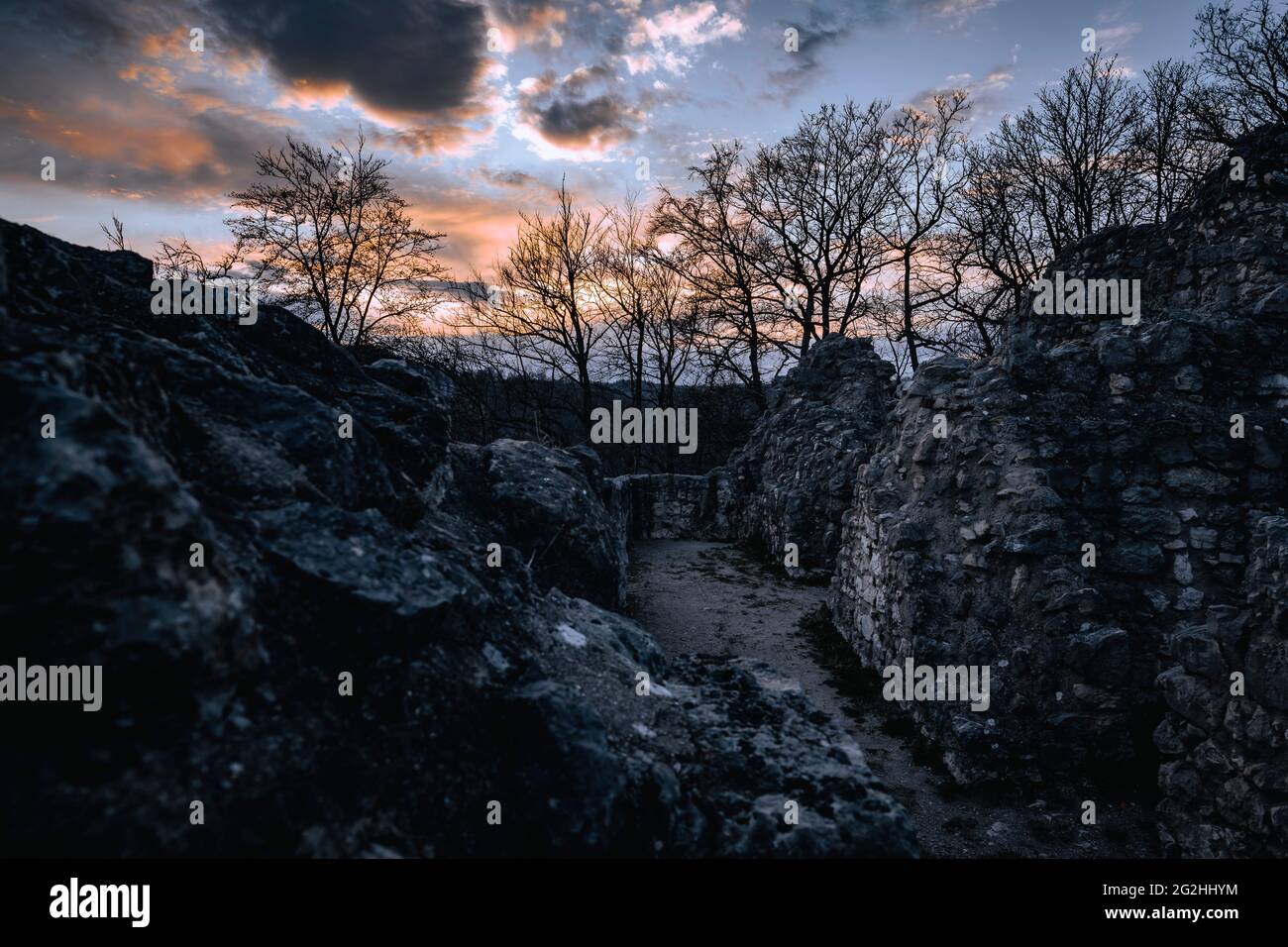 Falkenstein ruins hi-res stock photography and images - Alamy
