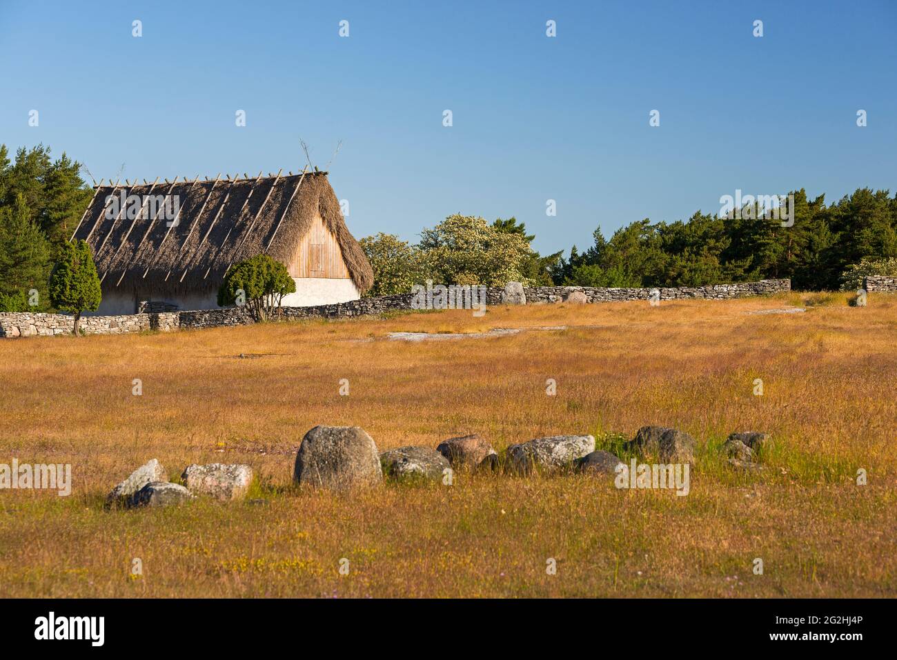 thatched sheep hut, Sweden, Farö island Stock Photo - Alamy