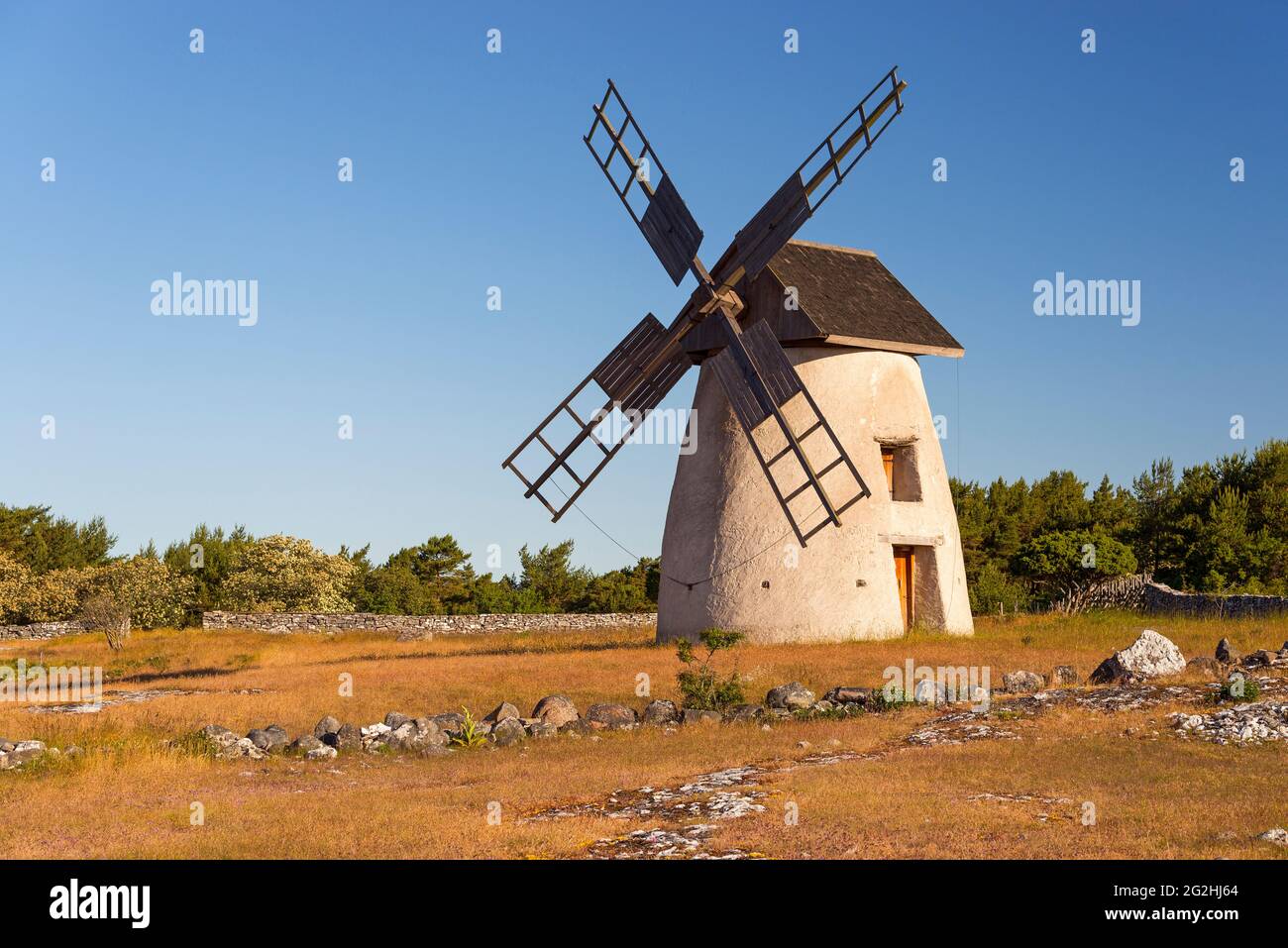 Windmill, morning light, Sweden, Farö island Stock Photo - Alamy