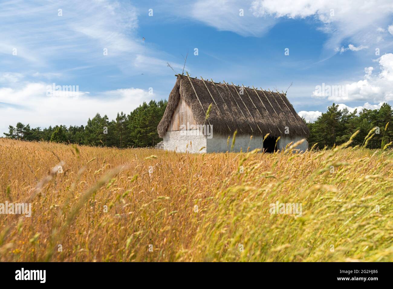 thatched sheep hut, Sweden, Farö island Stock Photo - Alamy
