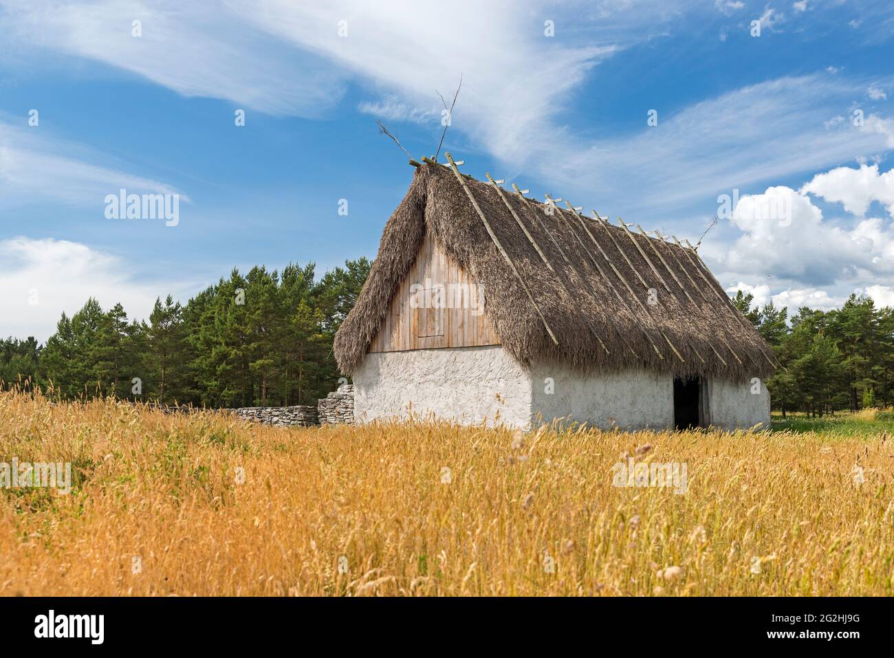 thatched sheep hut, Sweden, Farö island Stock Photo - Alamy