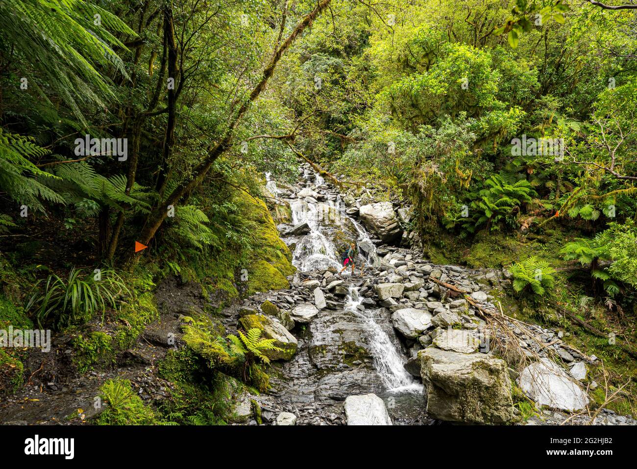 Hike to Roberts Point - St. Joseph Glacier. Through bizarre cliffs to ...
