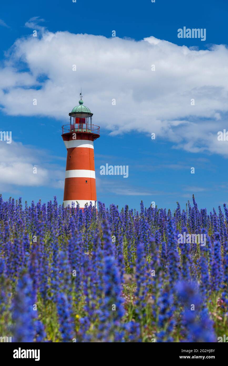 Lighthouse in middle field hi-res stock photography and images - Alamy