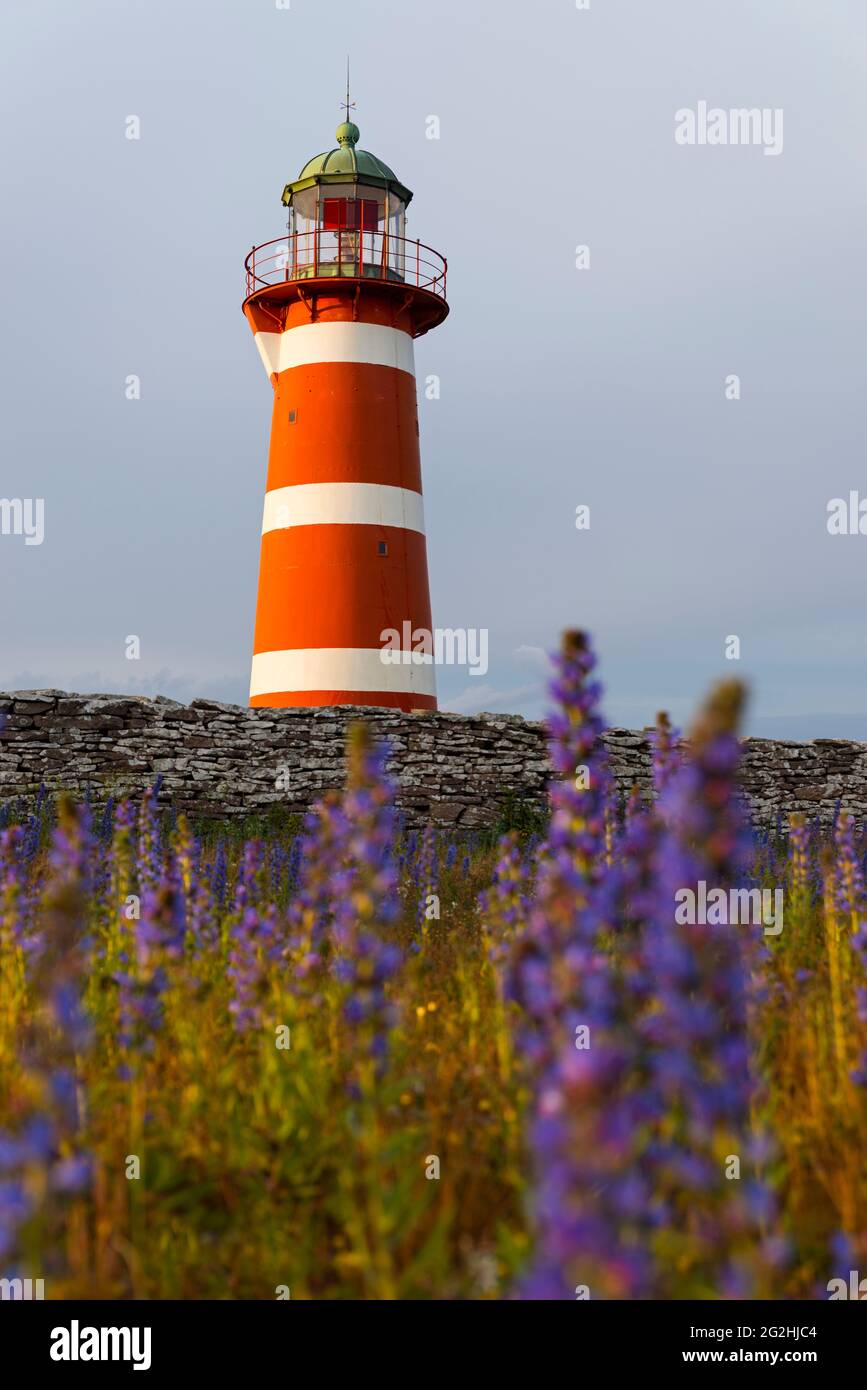 Cargo containers, parking lot hi-res stock photography and images - Alamy