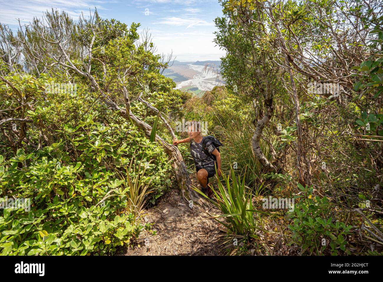 Hike to Mount Fox 1,021m over a steep climb through the jungle to a ...