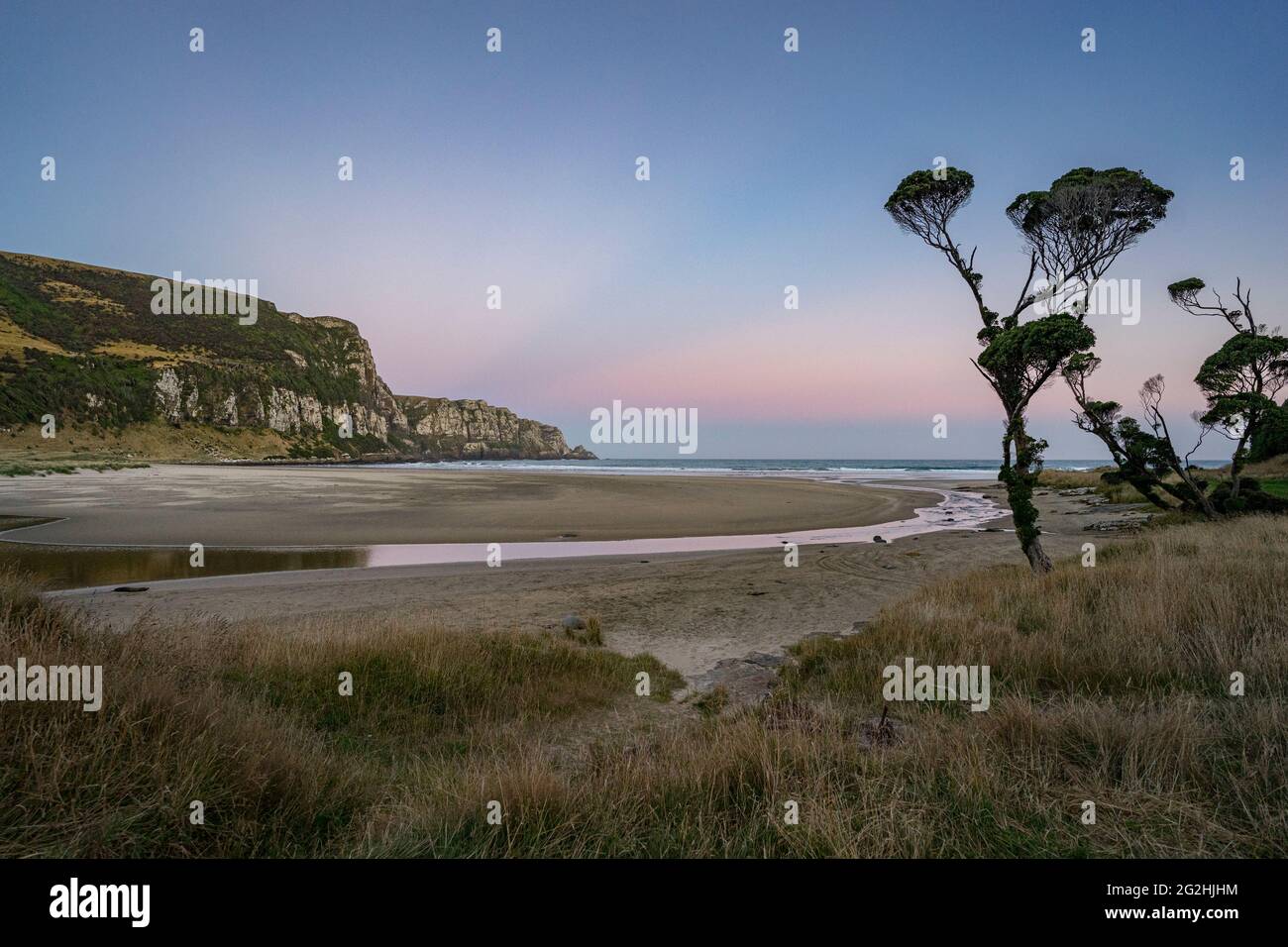 Wildlife sanctuaries new zealand hi-res stock photography and images ...