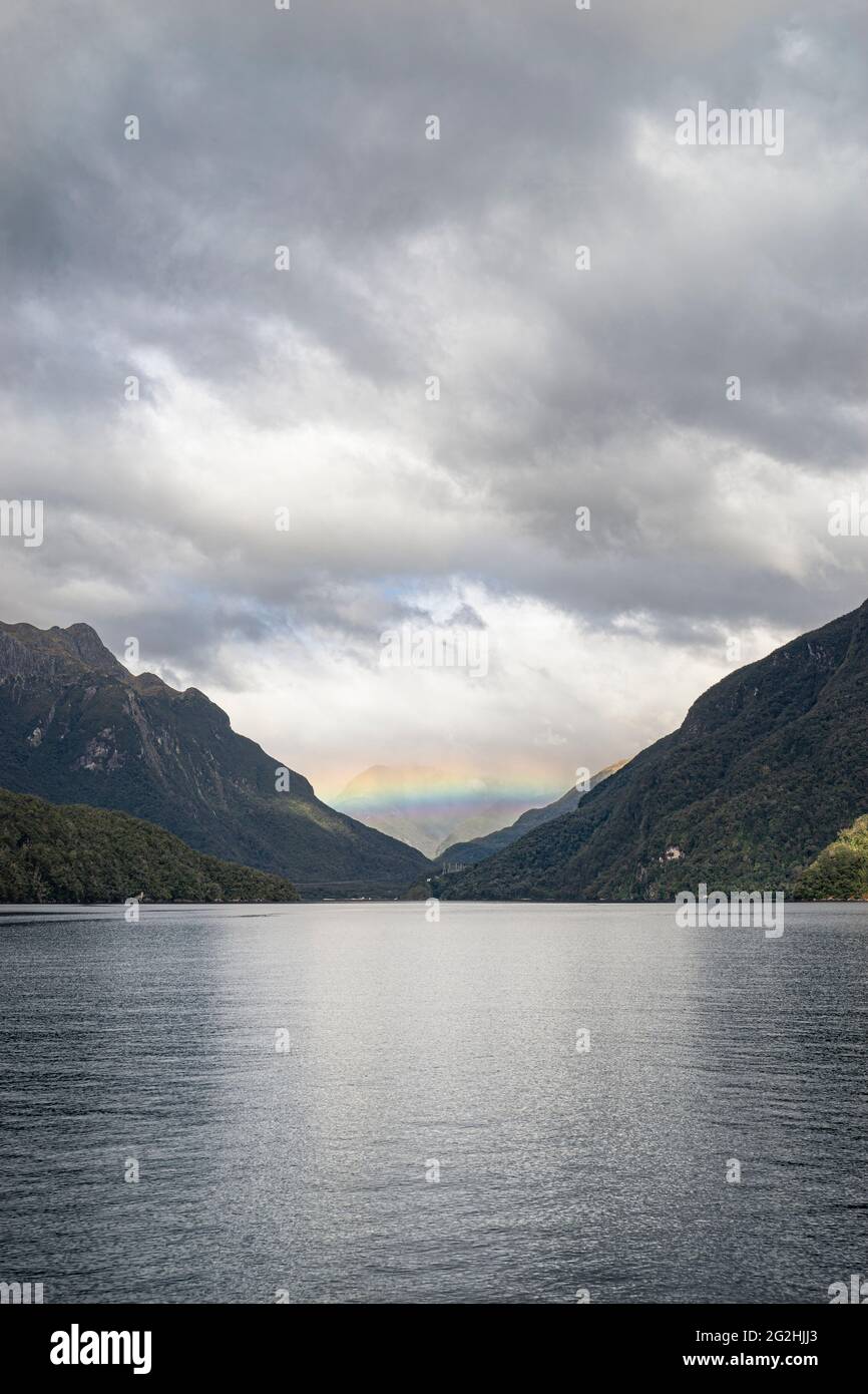 Primeval forest on Doubtful Sound, South Island, New Zealand Stock ...