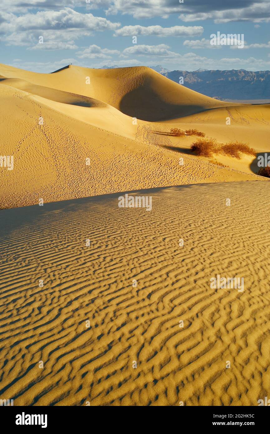 Sand Dunes, Death Valley National Park, California / Nevada, USA Stock ...