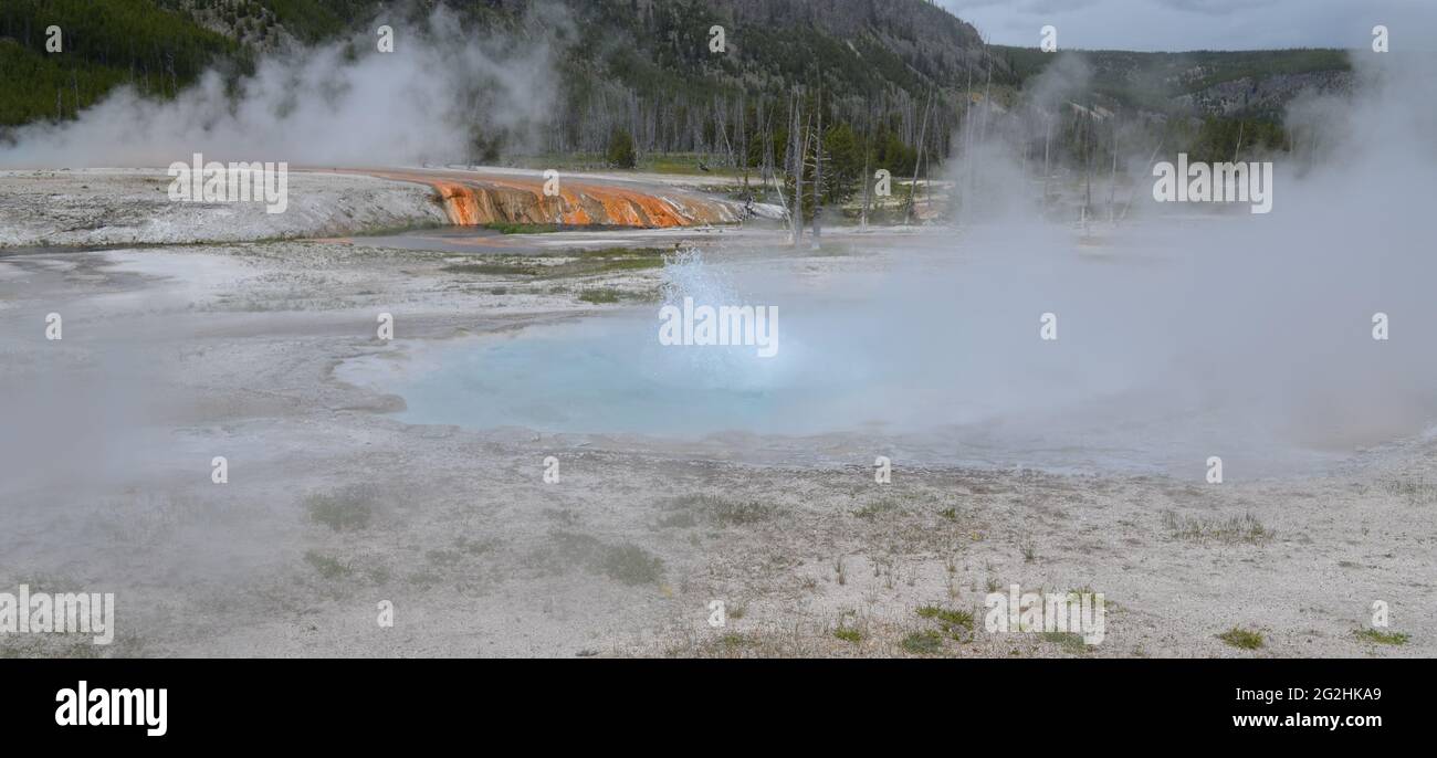 Spring in Yellowstone: Spouter Geyser of the Emerald Group in the Black ...