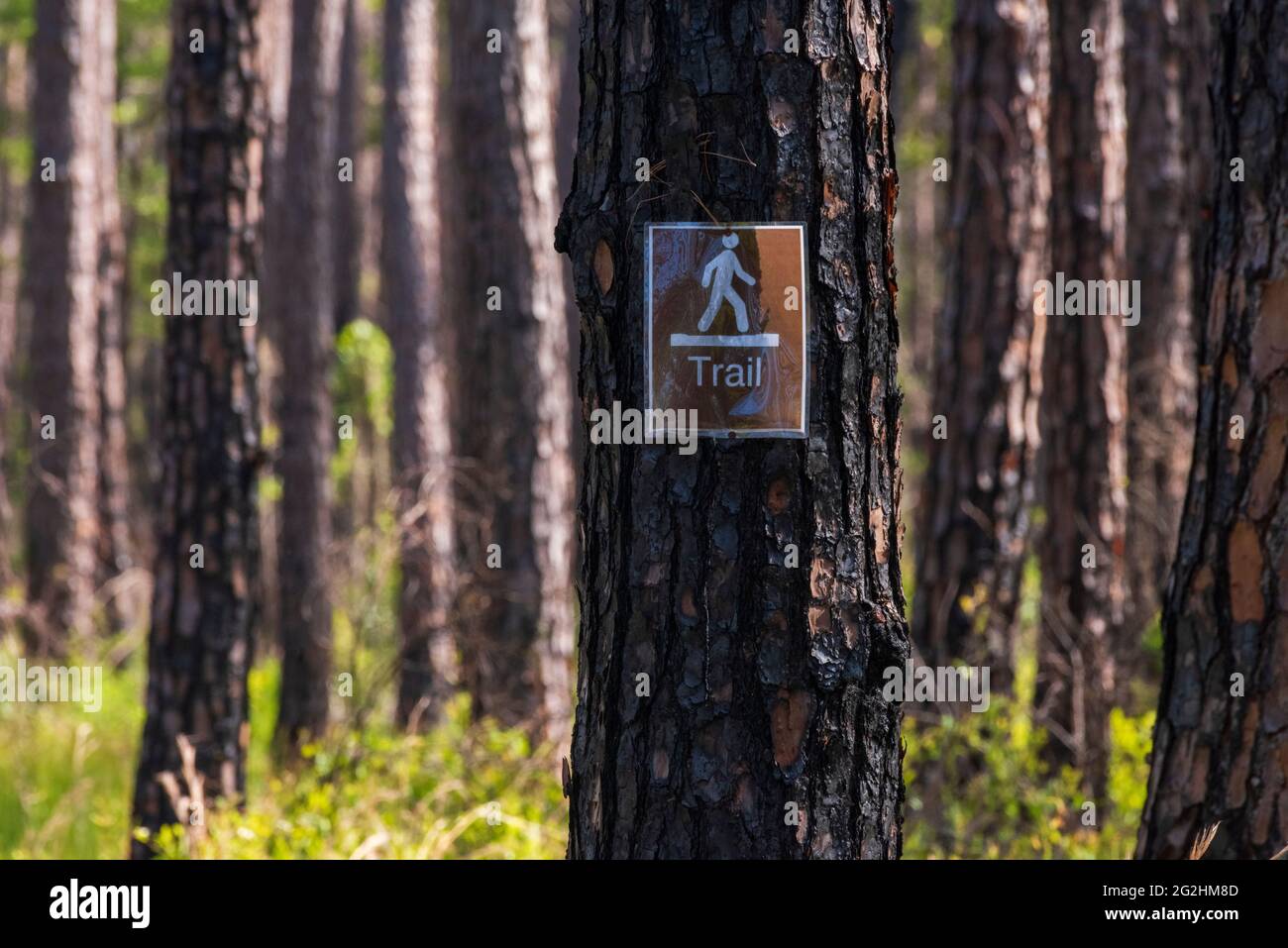 Sun damaged sign hi-res stock photography and images - Alamy