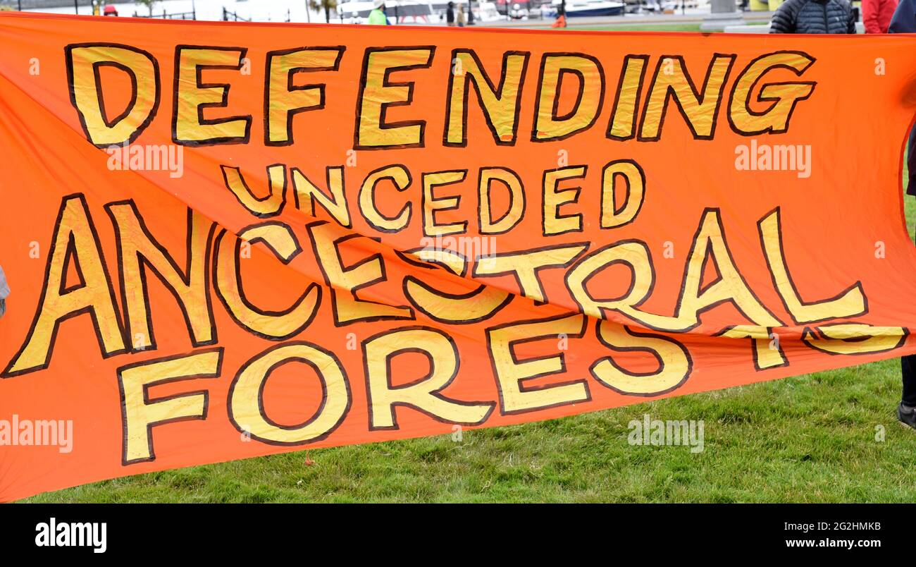 Canada logging protest hi-res stock photography and images - Alamy
