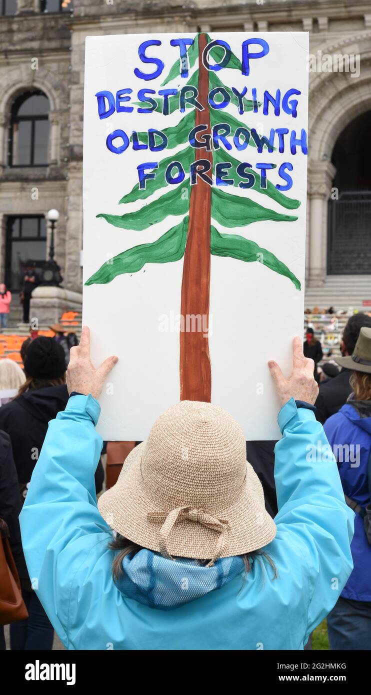 Victoria, British Columbia, Canada, 11 June 2021 - Demonstrators hold ...