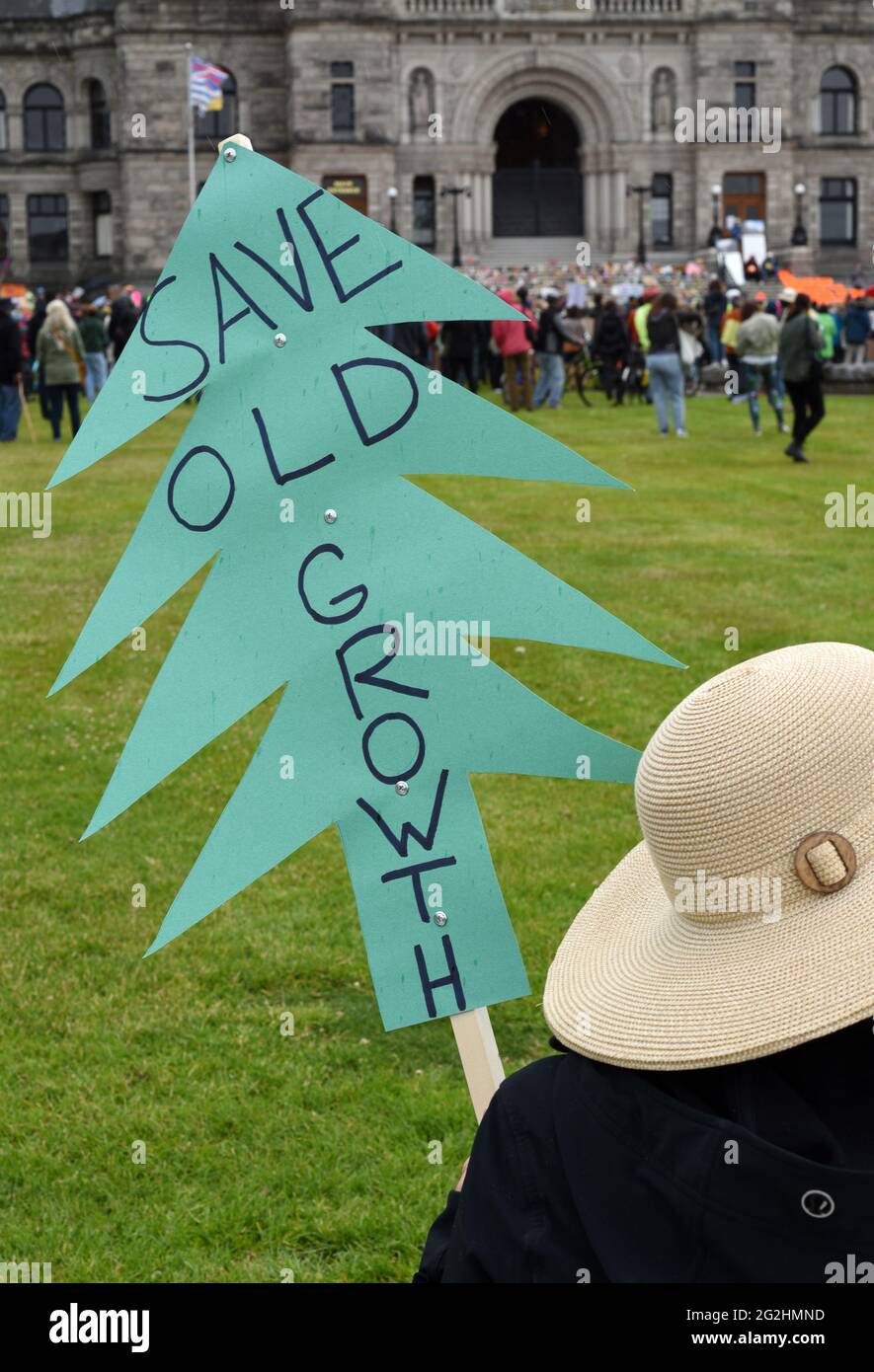 Environmental protest canada logging hi-res stock photography and ...