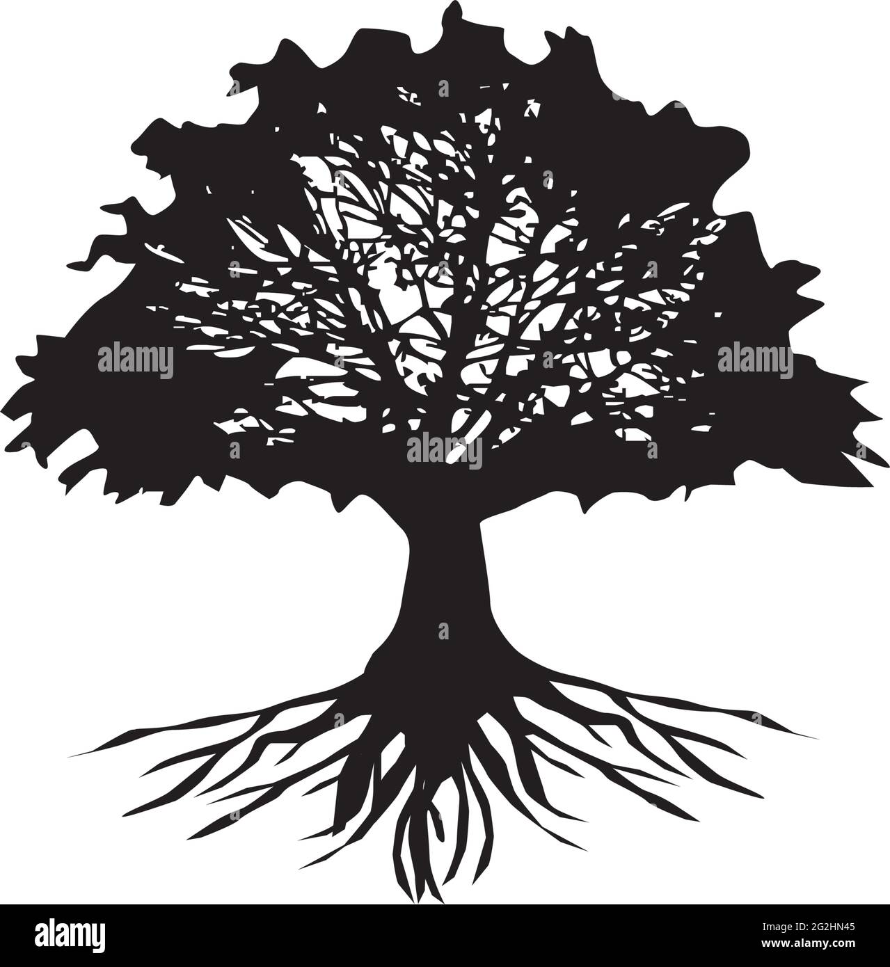 Oak Tree Outline With Roots