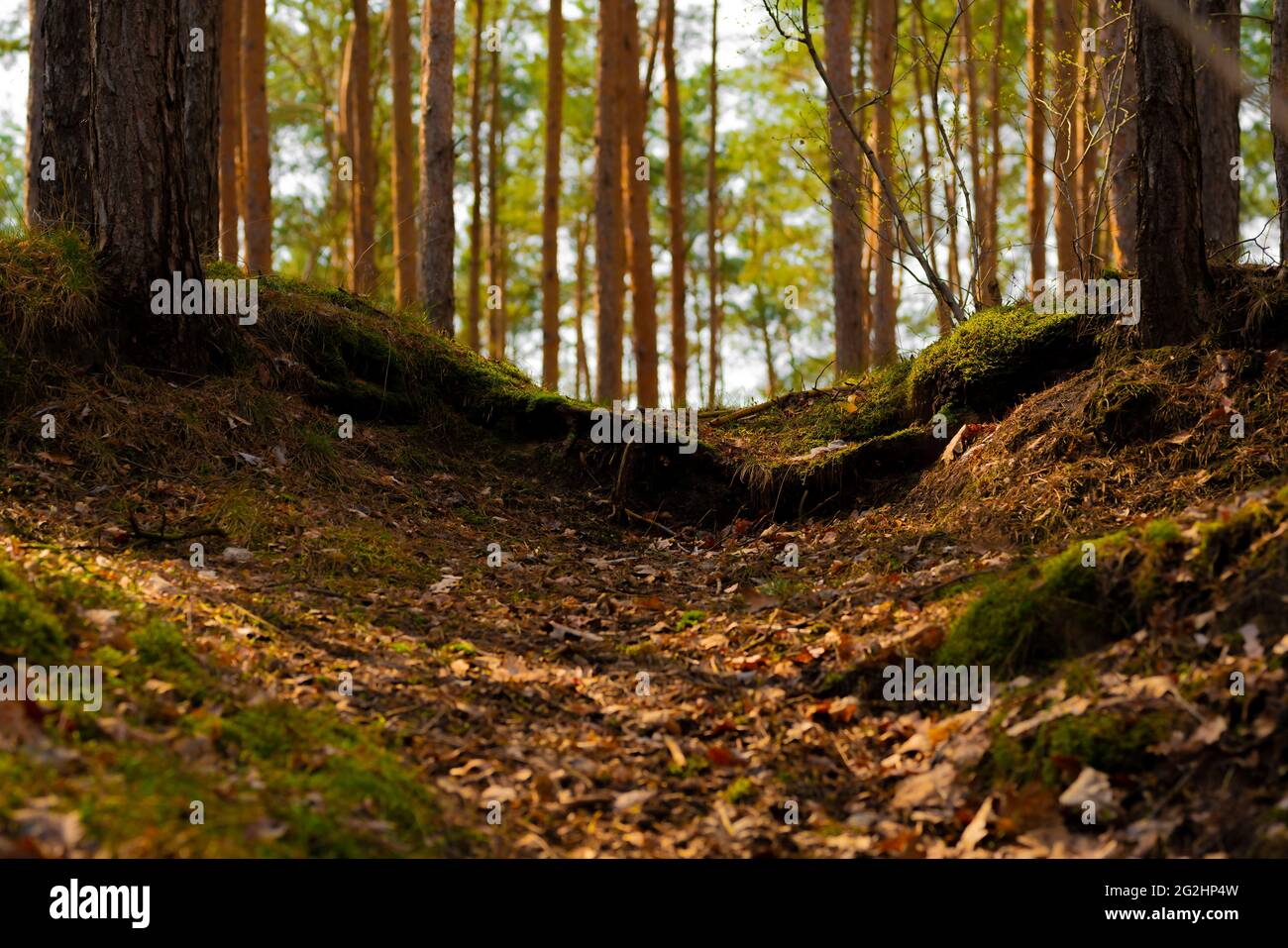 Hiking trail uphill in hi-res stock photography and images - Alamy