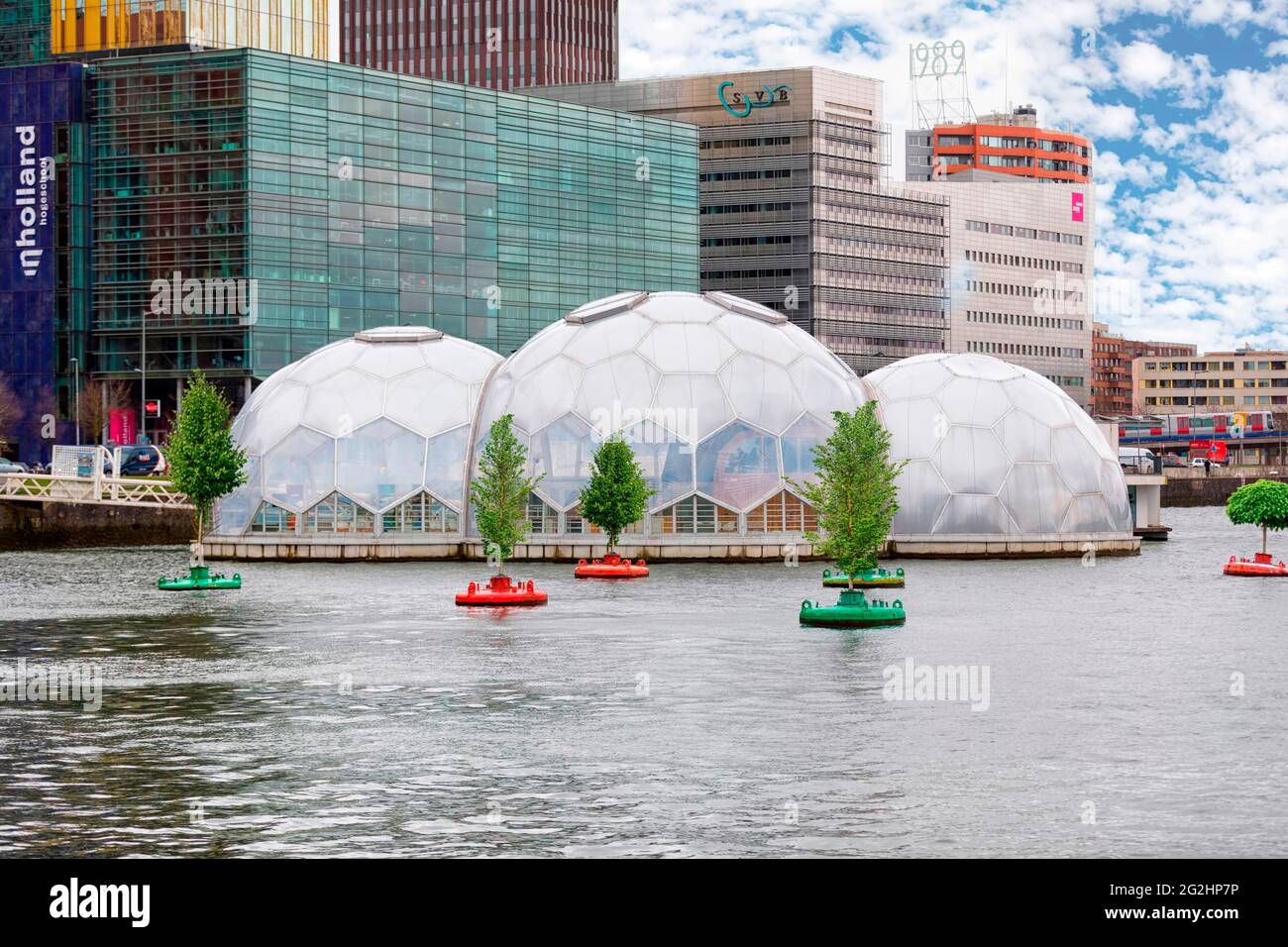 Floating pavilions, Rotterdam, Netherlands, Europe Stock Photo - Alamy
