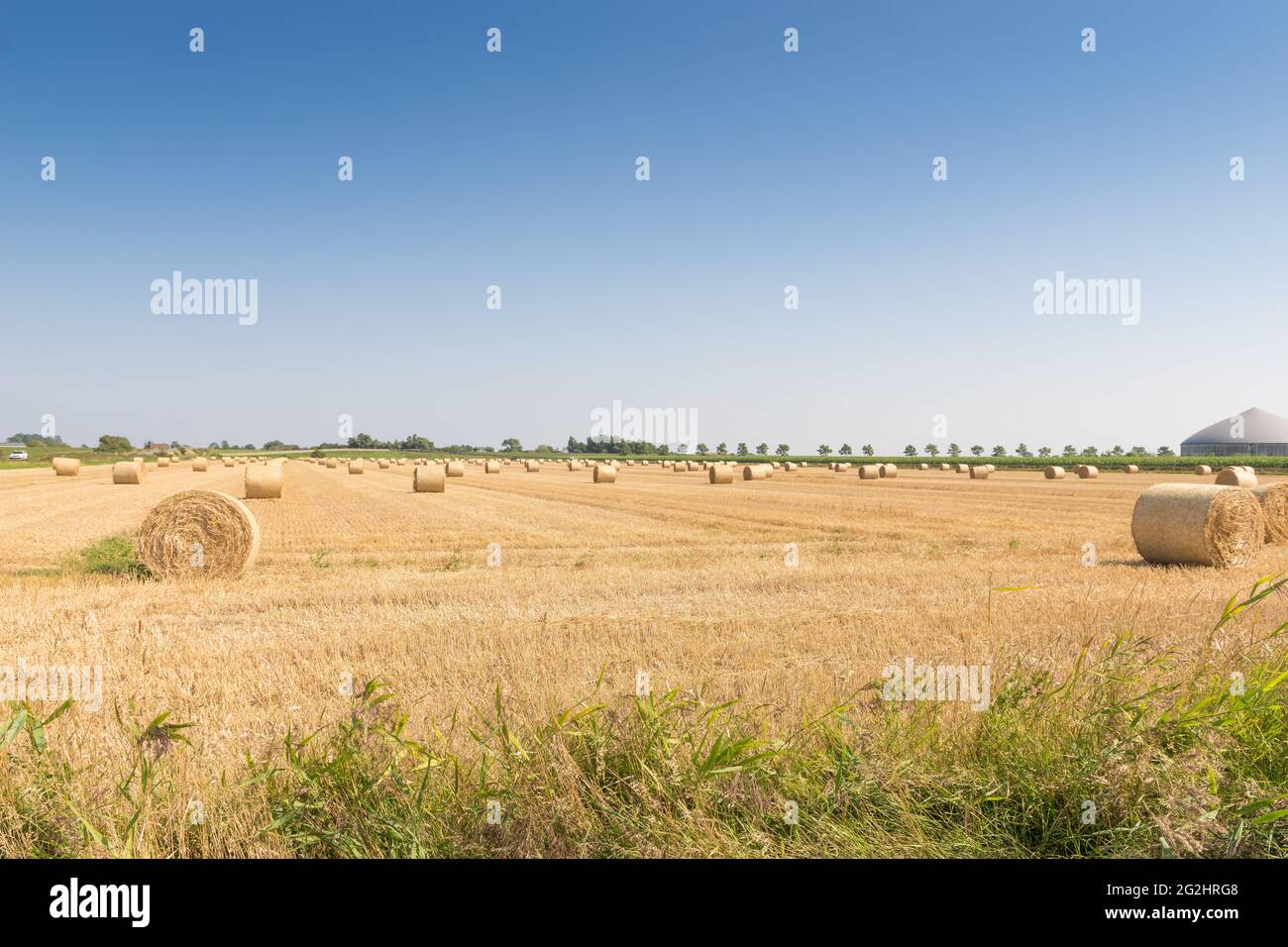 Straw bales in the field after harvest hi-res stock photography and ...