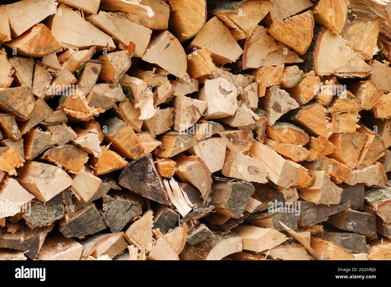 Firewood: ash, birch, maple Stock Photo - Alamy
