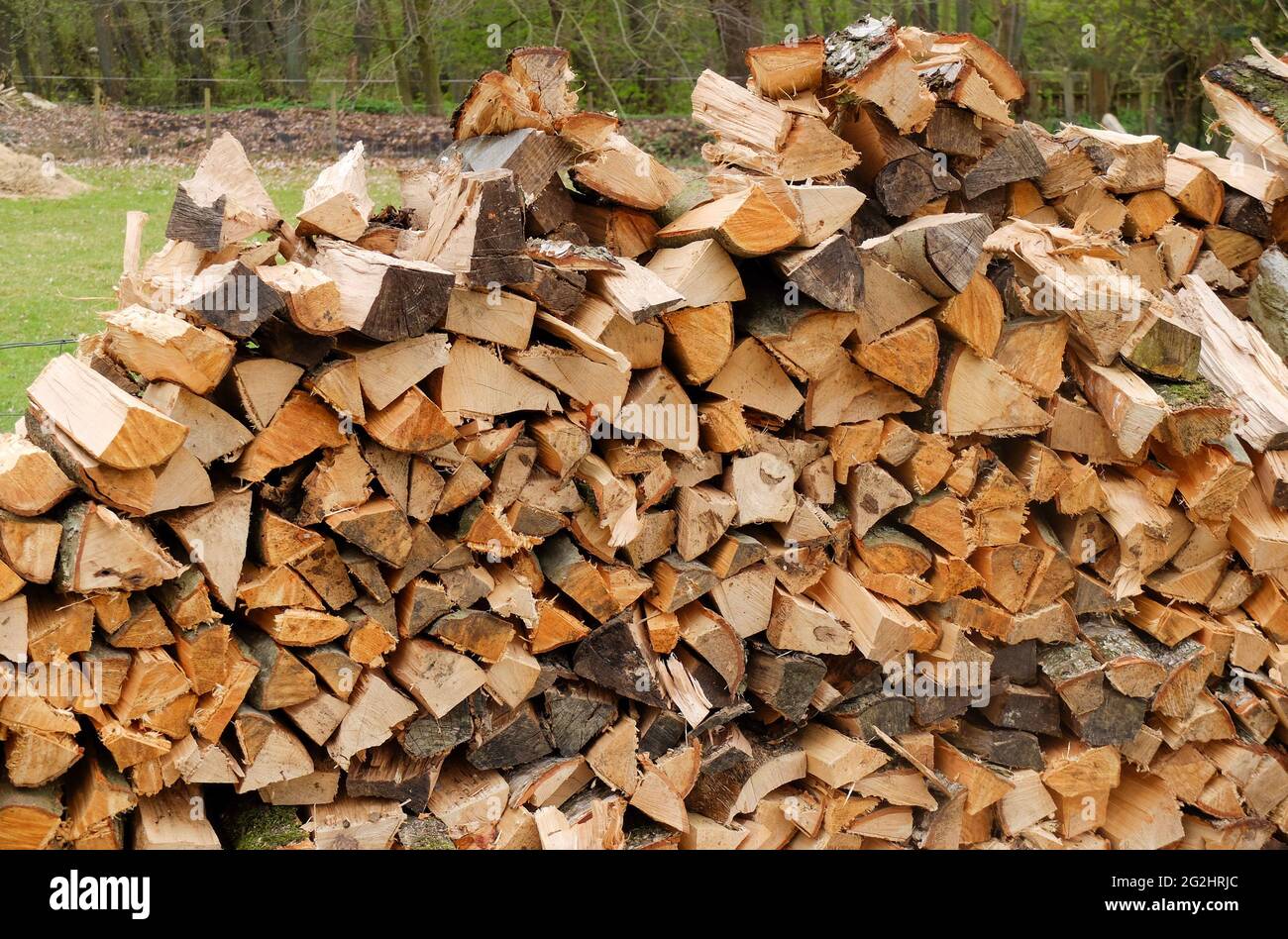Firewood: ash, birch, maple Stock Photo - Alamy