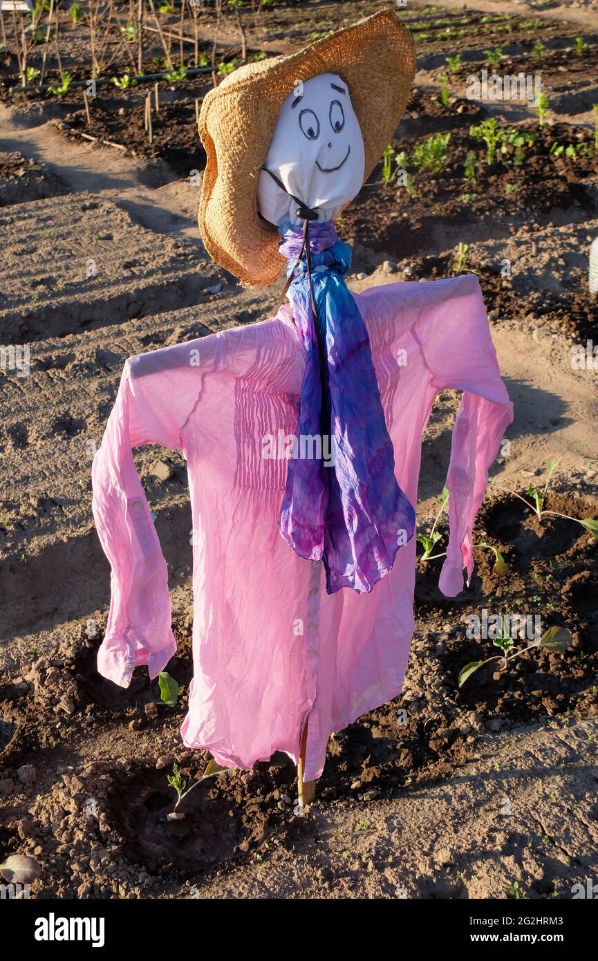 Human scarecrow hi-res stock photography and images - Alamy