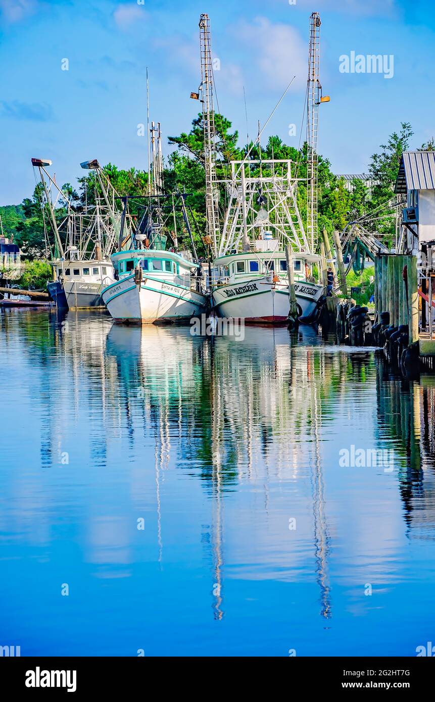 Bayou village hi-res stock photography and images - Alamy