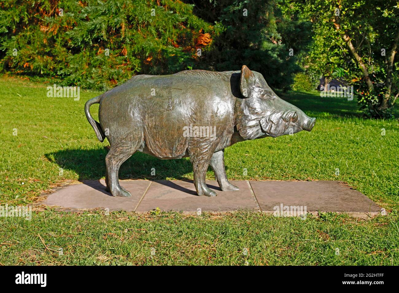 Bronze boar sculpture hi-res stock photography and images - Alamy
