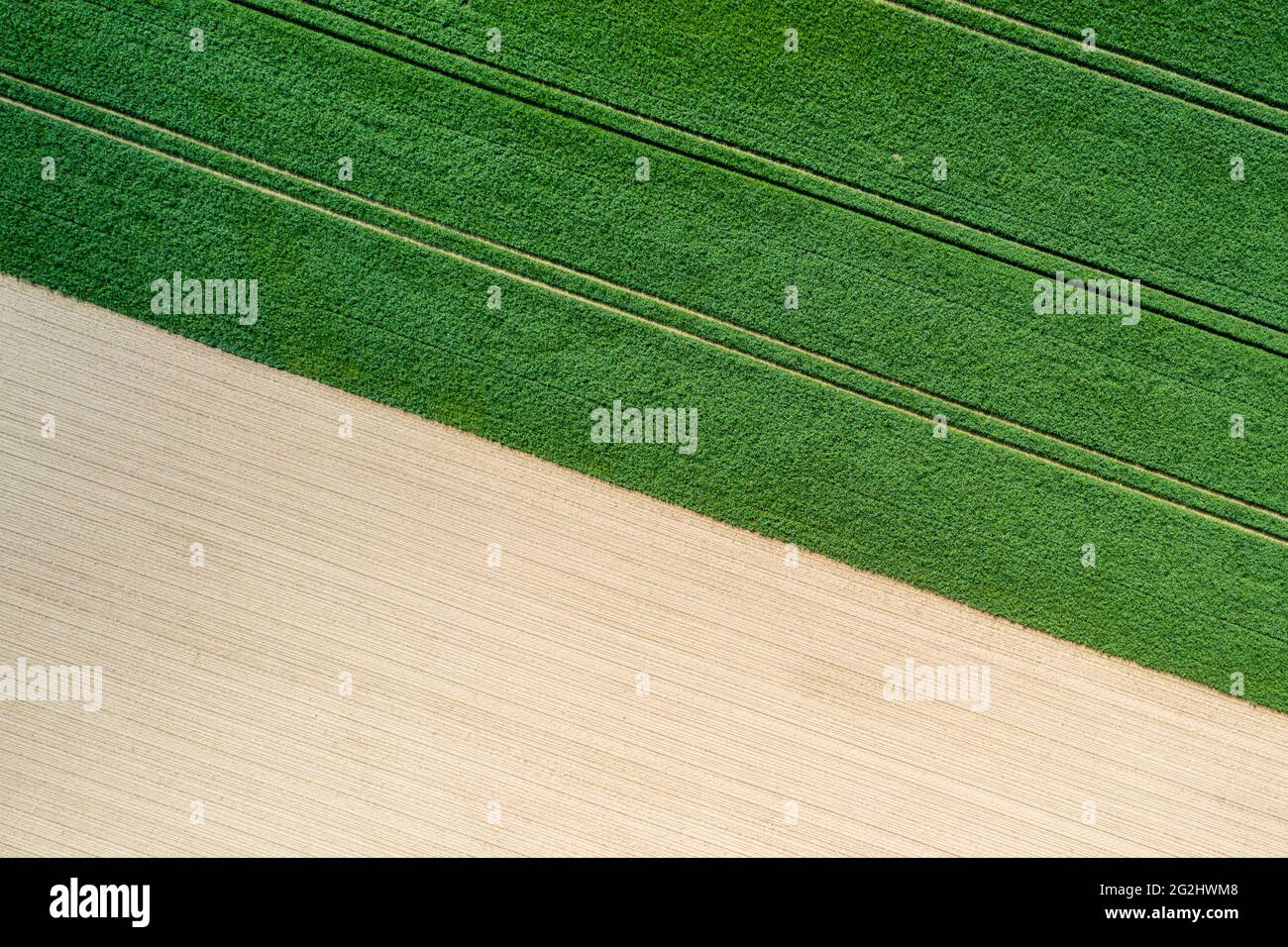 Tracks in snow can hi-res stock photography and images - Alamy