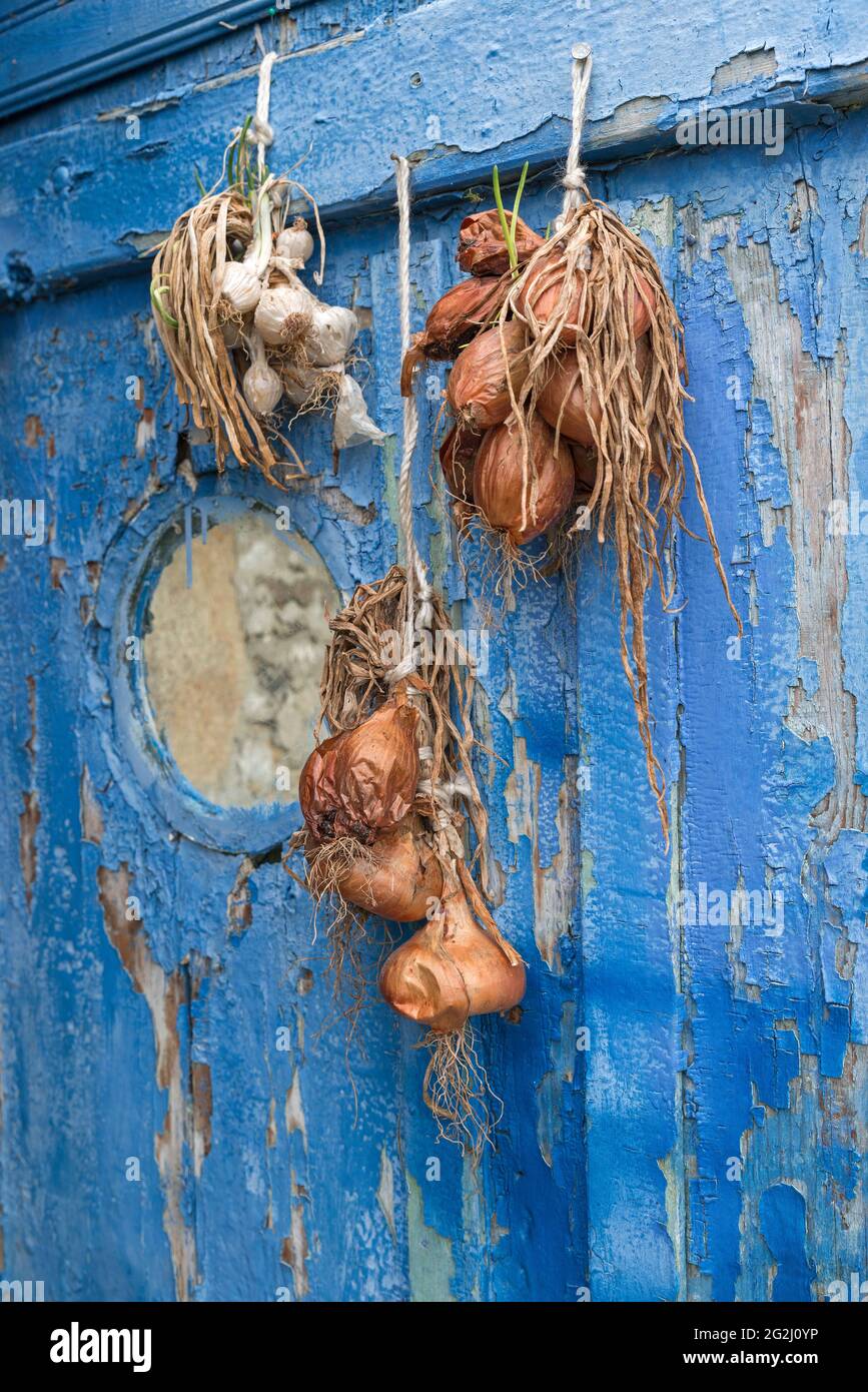 Hike onions hi-res stock photography and images - Alamy