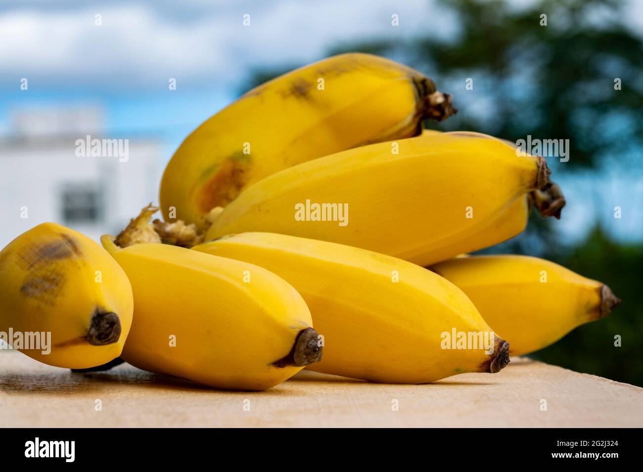 Large group of fruits hi-res stock photography and images - Alamy