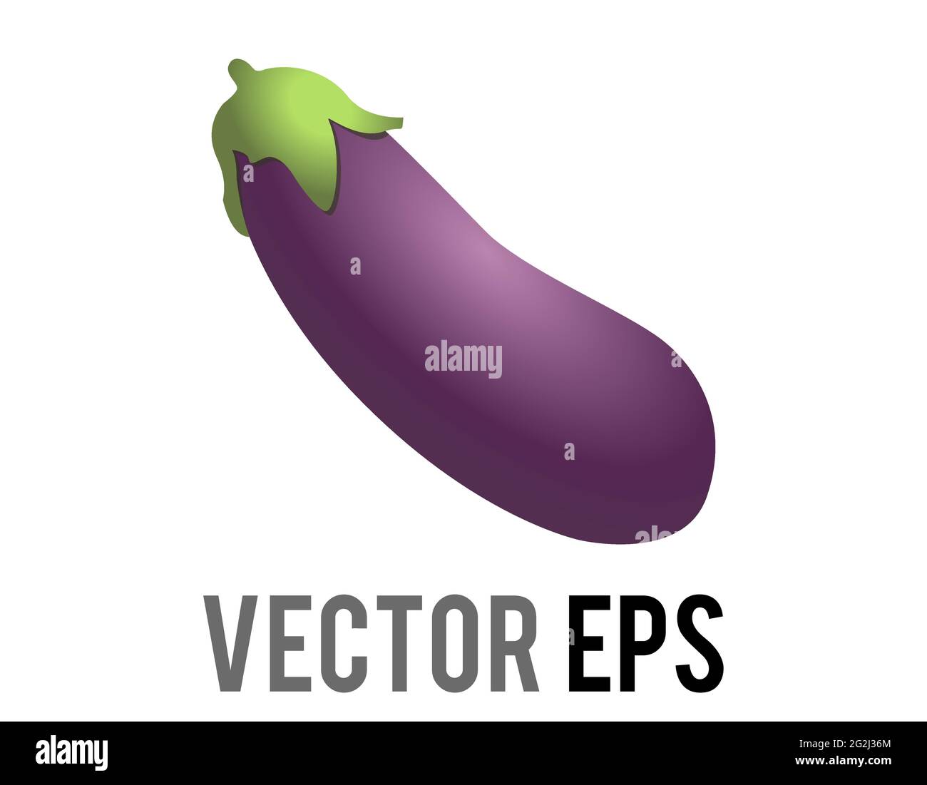 The isolated vector long, bulbous, bright gradient purple eggplant or ...
