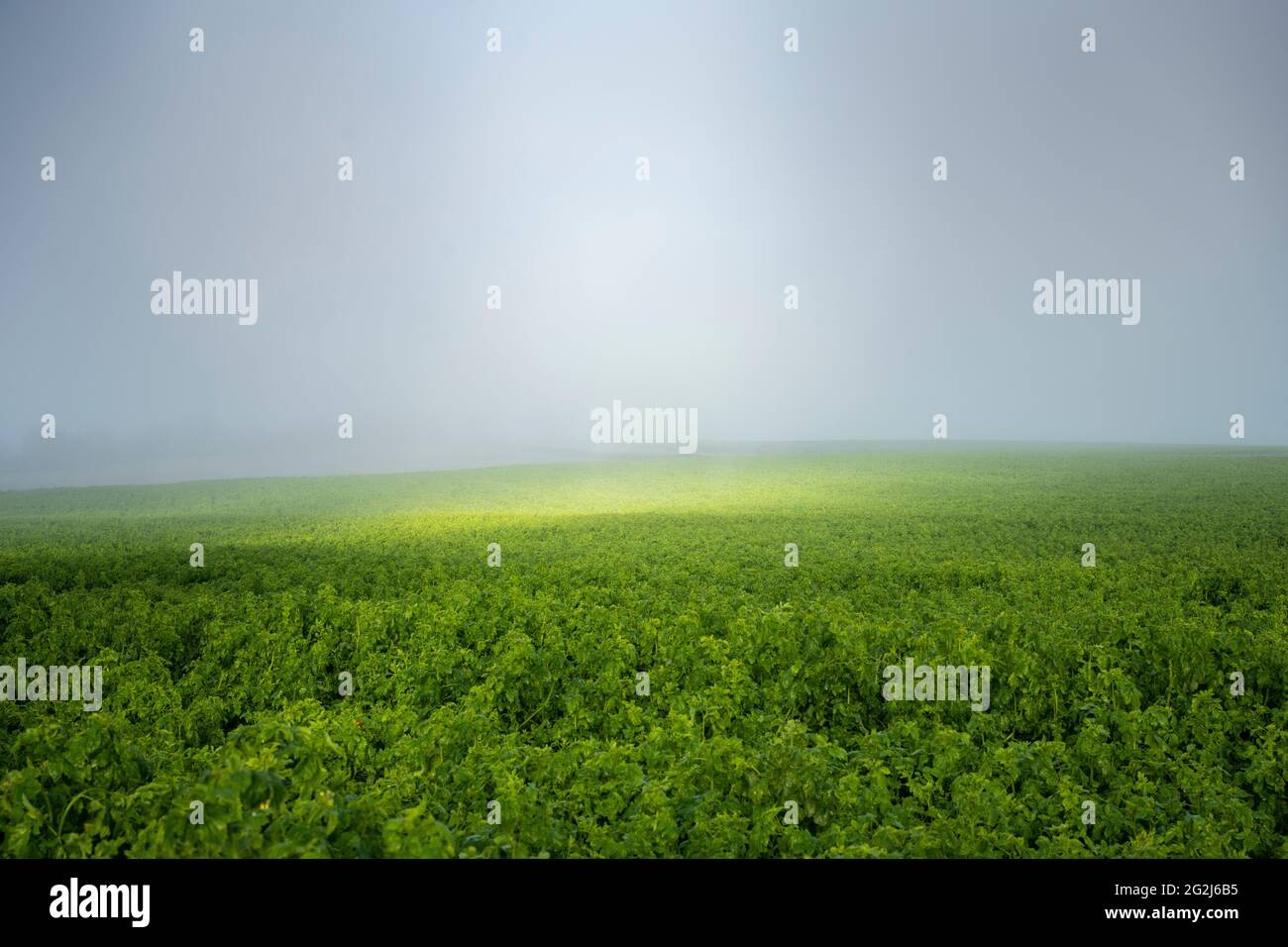 November, landscape with fog Stock Photo - Alamy