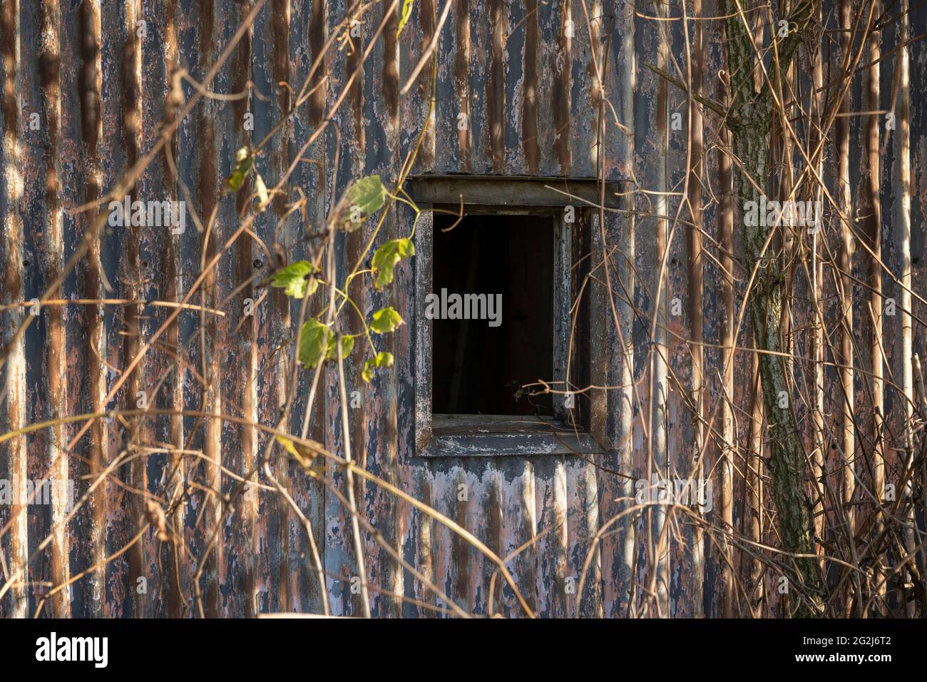 Germany, old corrugated iron hut Stock Photo - Alamy